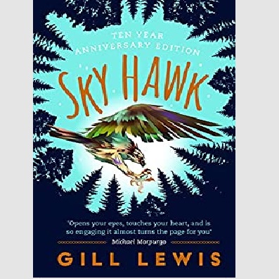 Sky Hawk (Anniversary Edition) | Oxford Owl for Home
